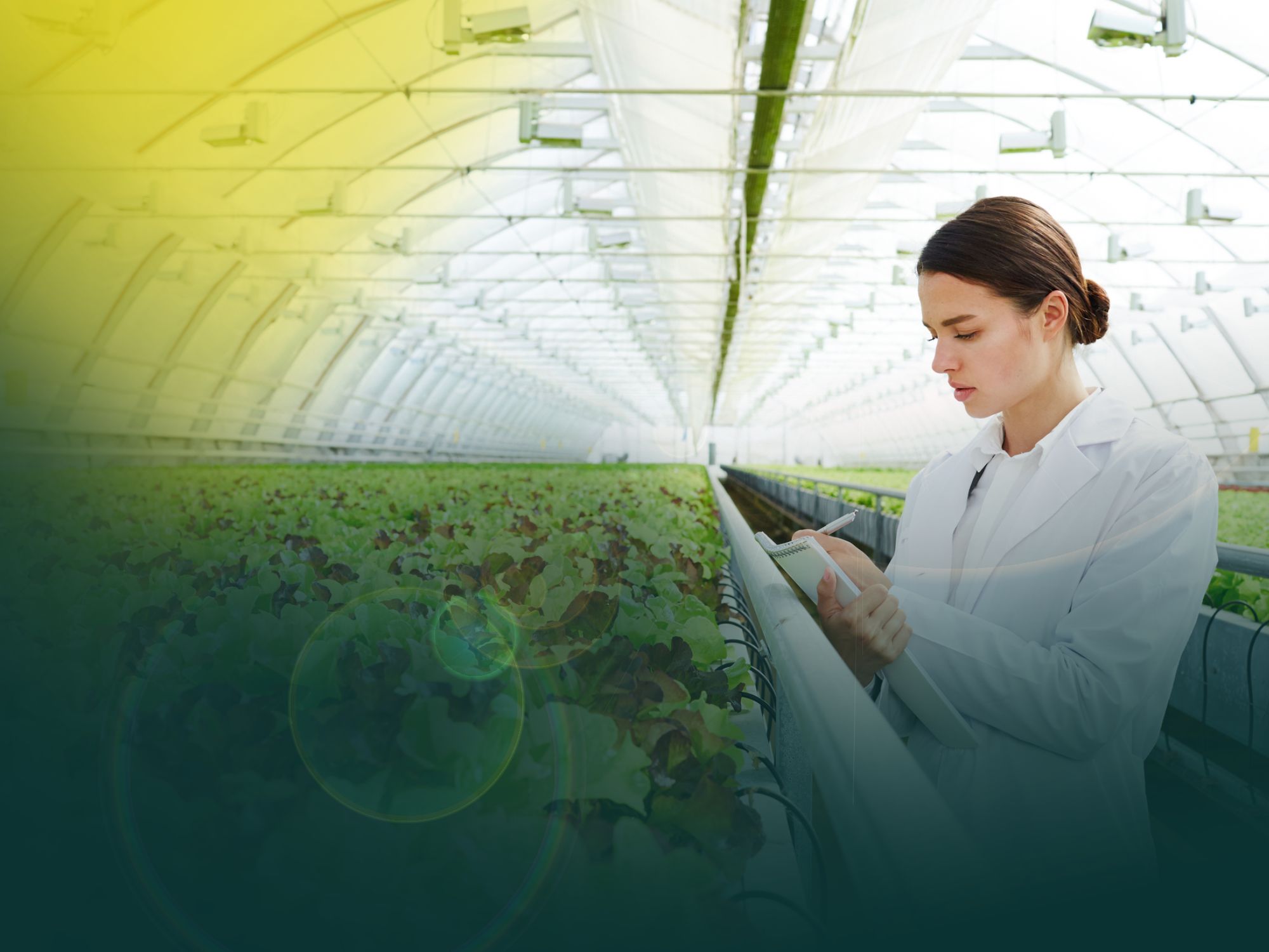 TSO Green System - TSO Green 2025 Business Plan | The Future of Farming